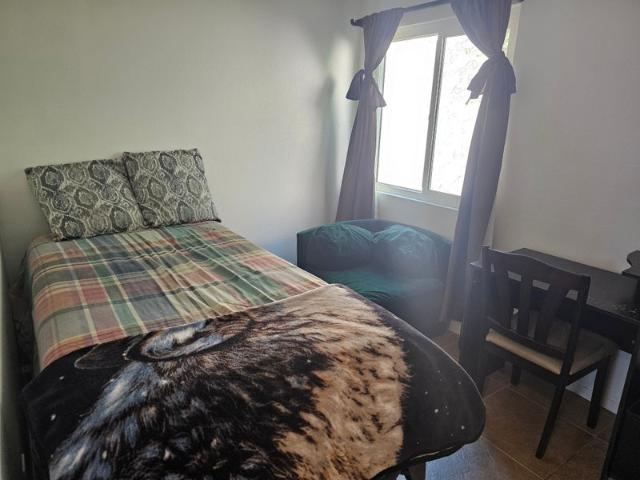 Roommate Wanted