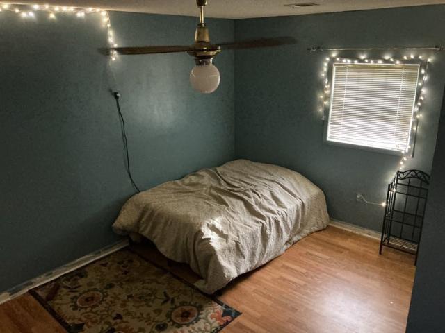 roommate wanted