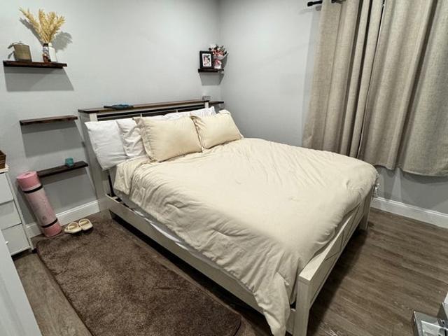 Roommate Wanted!