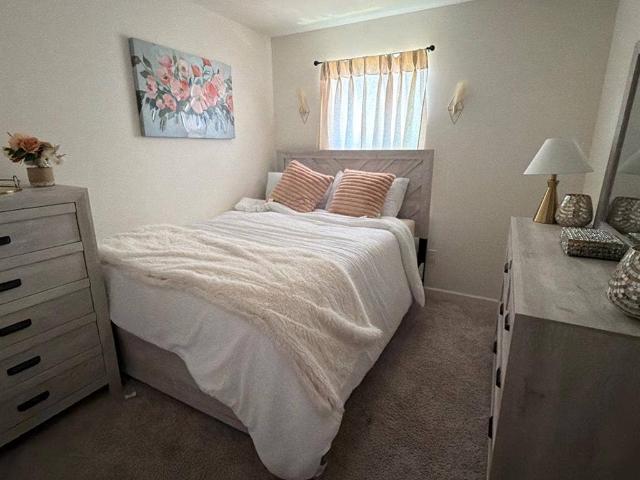 Roommate wanted
