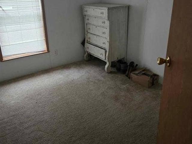 Roommate wanted