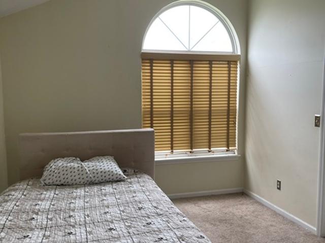 Roommate wanted