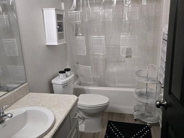 Roommate Wanted