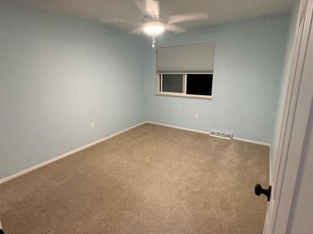 Roommate wanted