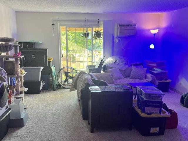 Roommate wanted