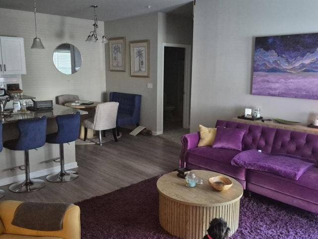 Roommate wanted!
