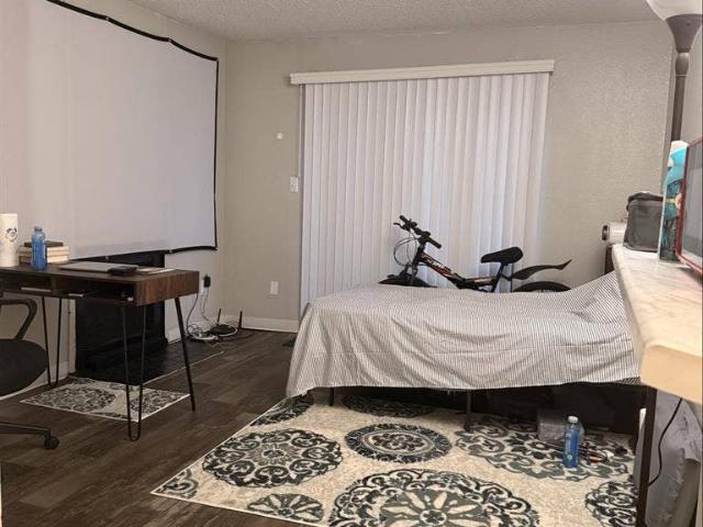 Roommate Wanted