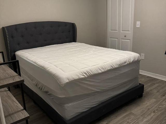 Roommate Wanted!