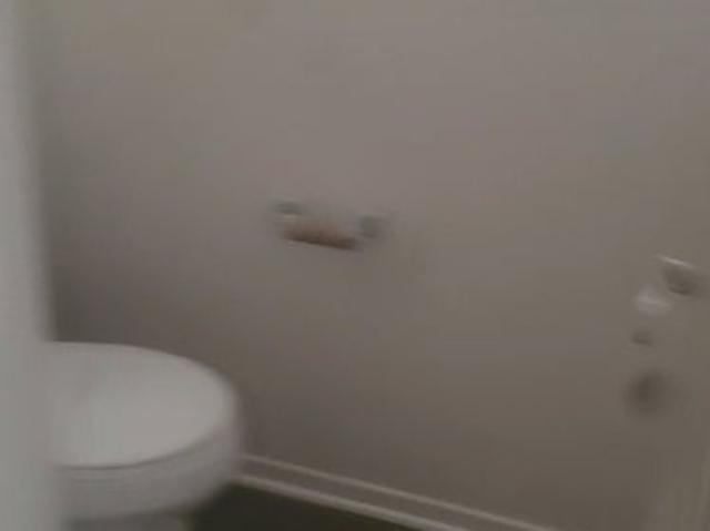 Roommate Wanted