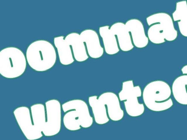 ROOMMATE WANTED