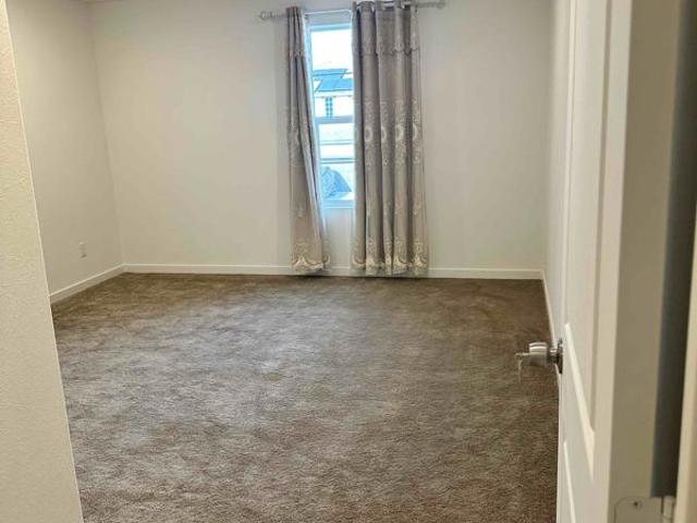 Roommate wanted _Brand new large room $975