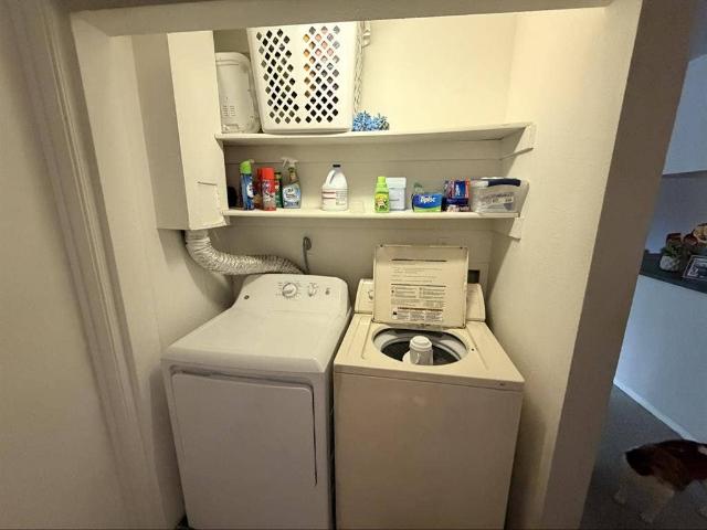 Roommate for Lease Takeover