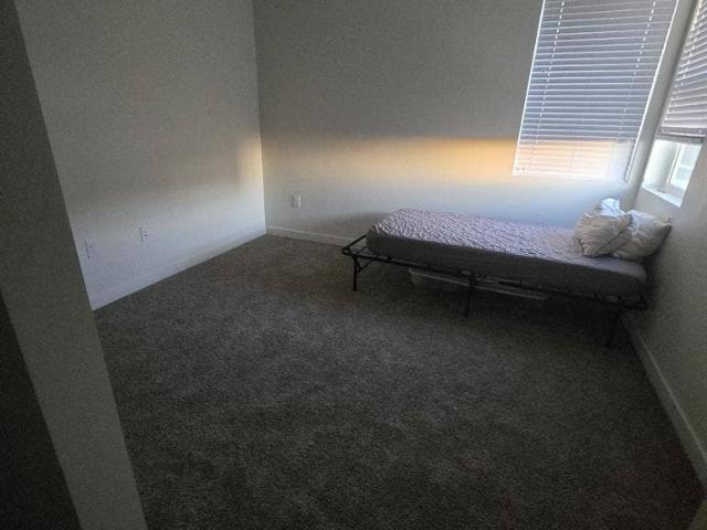 Roommate for two bedroom bath apt