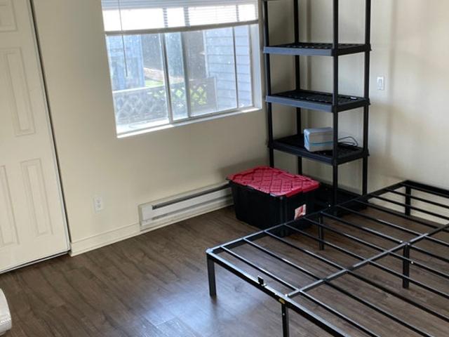 Roommate Needed