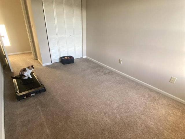 Roommate needed 1b 1ba