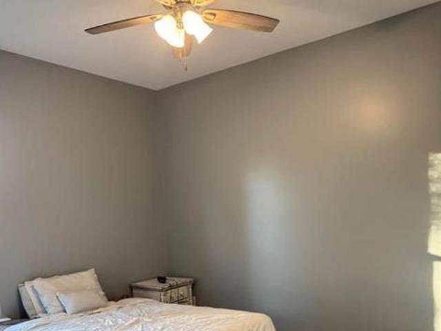 Roommate Needed