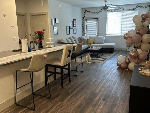 Roommate Needed