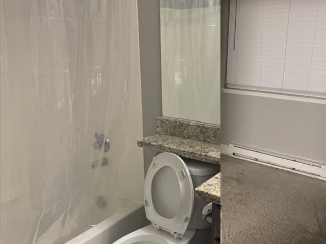 Roommate needed!