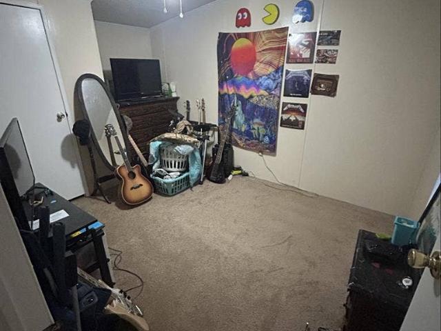 Roommate needed