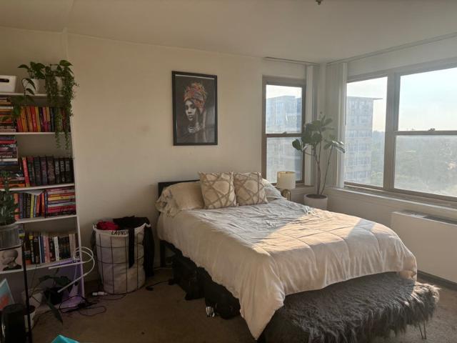 Roommate needed
