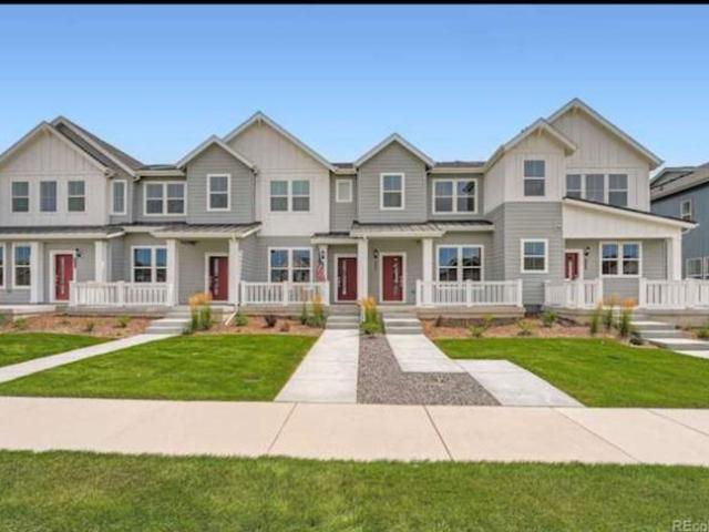 Roommate needed