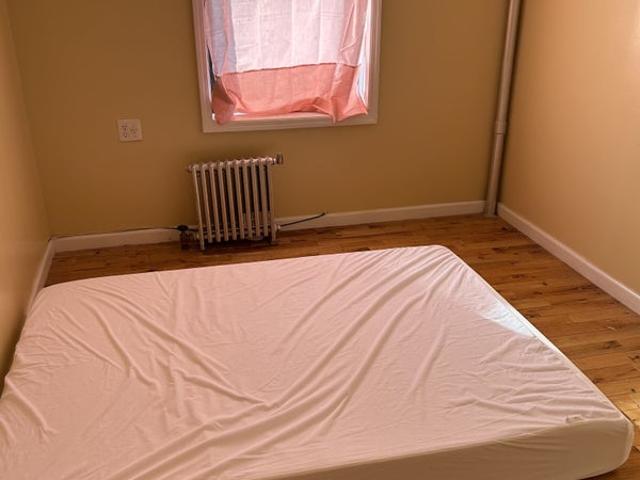 Roommate needed for cozy 1 bedroom $800!