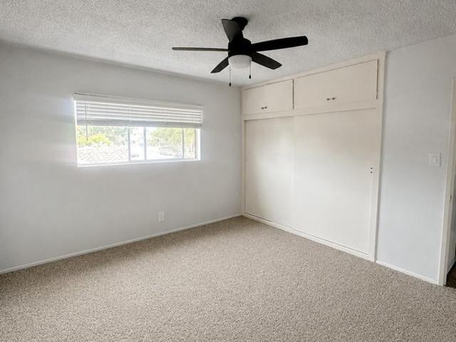 roommate needed for 2bd 1bath