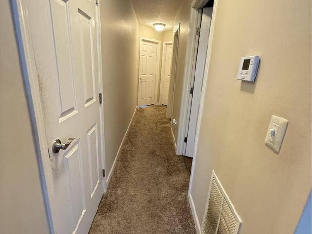 Roommate needed in Easton area