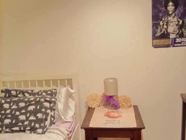 Roommate needed in Rogers Park for 9/1