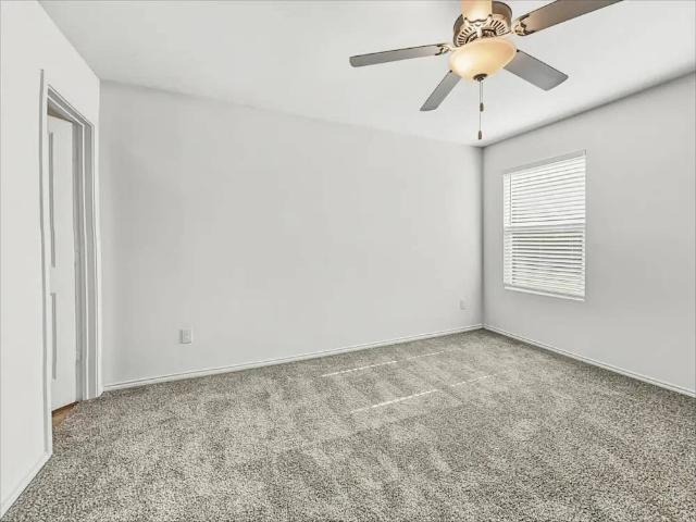 Roommates Needed