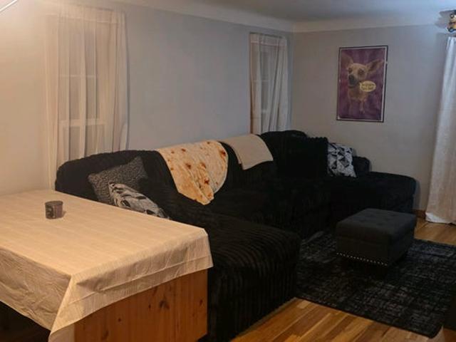 Roommates Needed