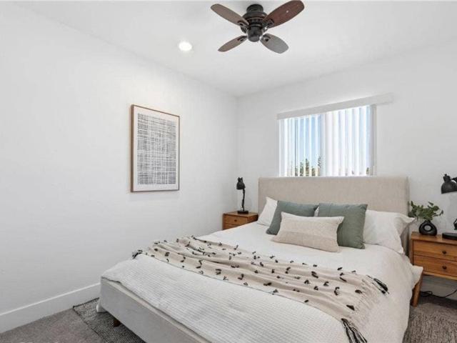 Roommates needed!