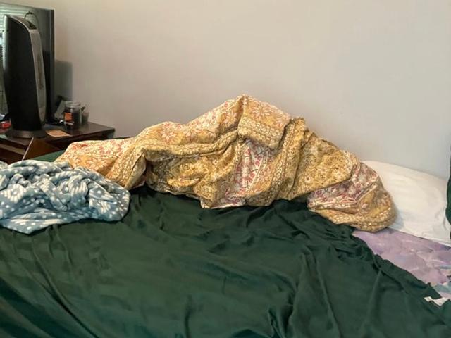 ROOMMATES WANTED SOMERVILLE APARTMENT
