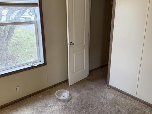 Roommates Wanted