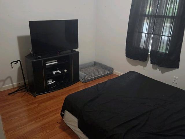 Rooms for rent