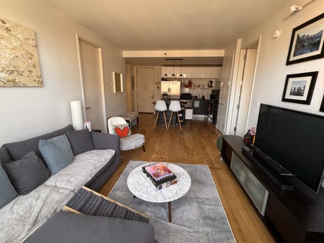 Room+Private Bathroom in Pet Friendly apartment