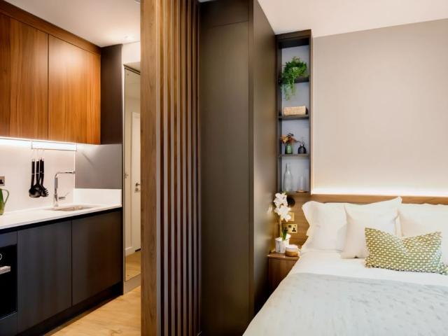 Roomy Premium Studio