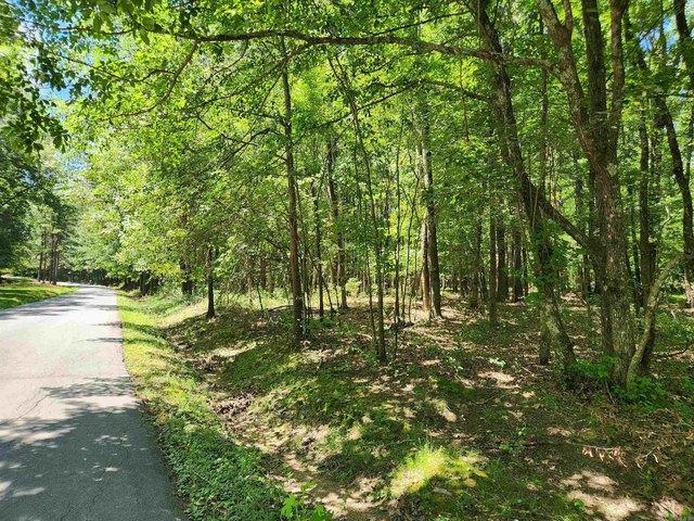 Roosevelt Dr, Star City, AR 71667