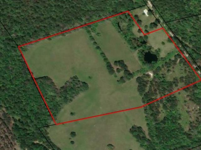 Roach Rd, Apple Springs, TX 75926
