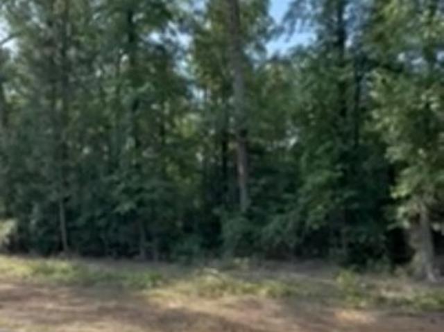 Roach Rd, Choudrant, LA 71227