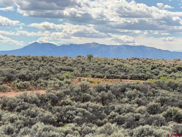 Road C, Dove Creek, CO 81324