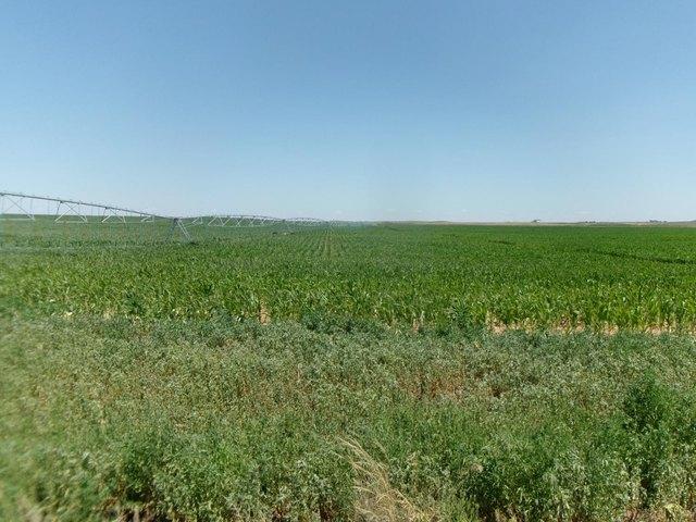 Road G, Liberal, KS