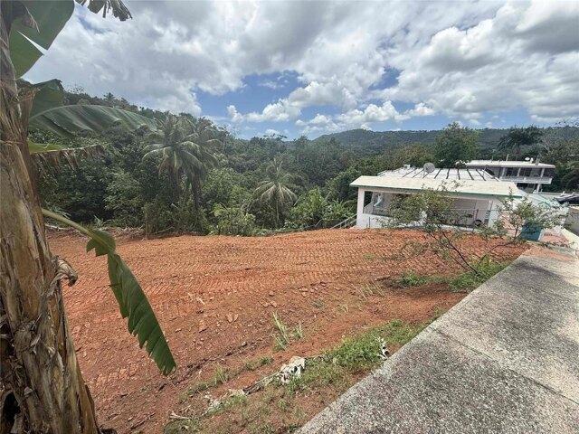 Road Km #,mayaguez, Plot For Sale