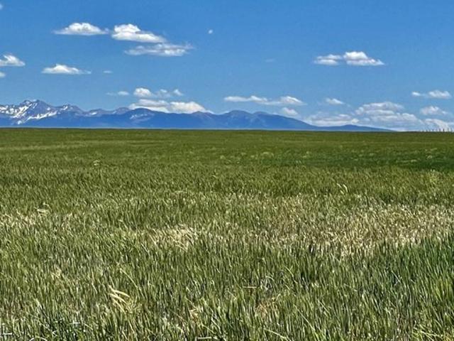 Road Z, Lewis, CO 81327