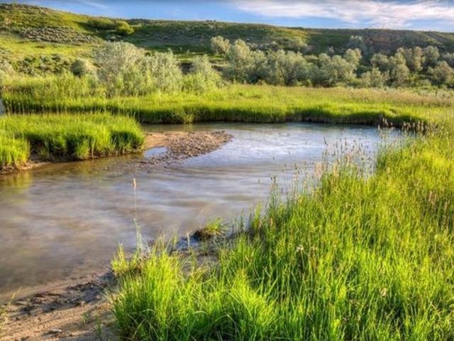 Road # 19, Powell, WY 82435