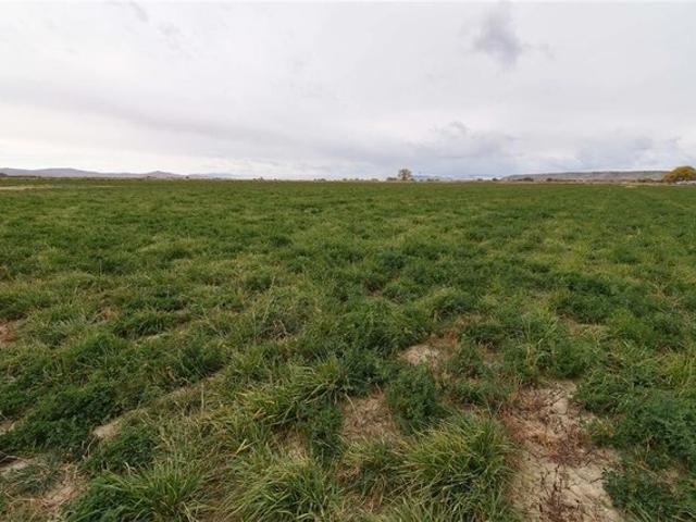 Road # 10, Powell, WY 82435