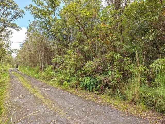Road # 13, Mountain View, HI 96771
