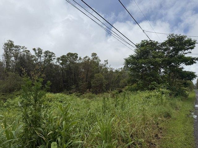 Road # 1, Mountain View, HI 96771