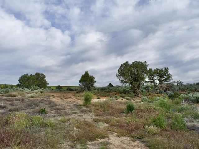 Road 24 3 Lot 1, Cortez, CO 81321