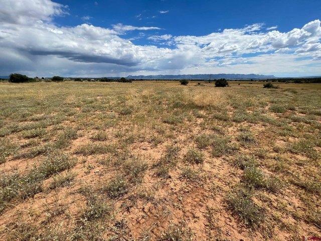 Road # 25, Dolores, CO 81323